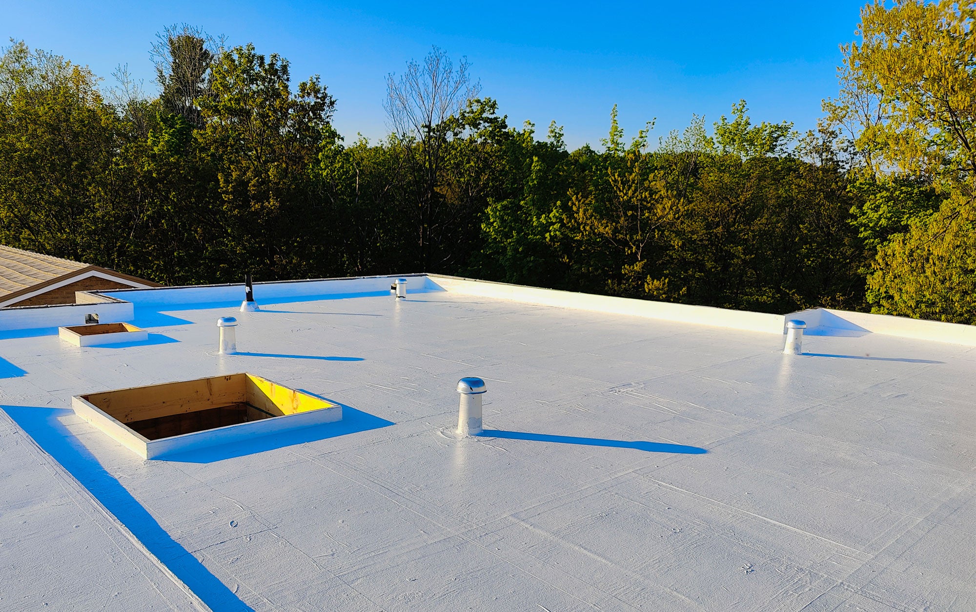 Rexoseal | Premium Waterproof Coatings for Long-Lasting Protection